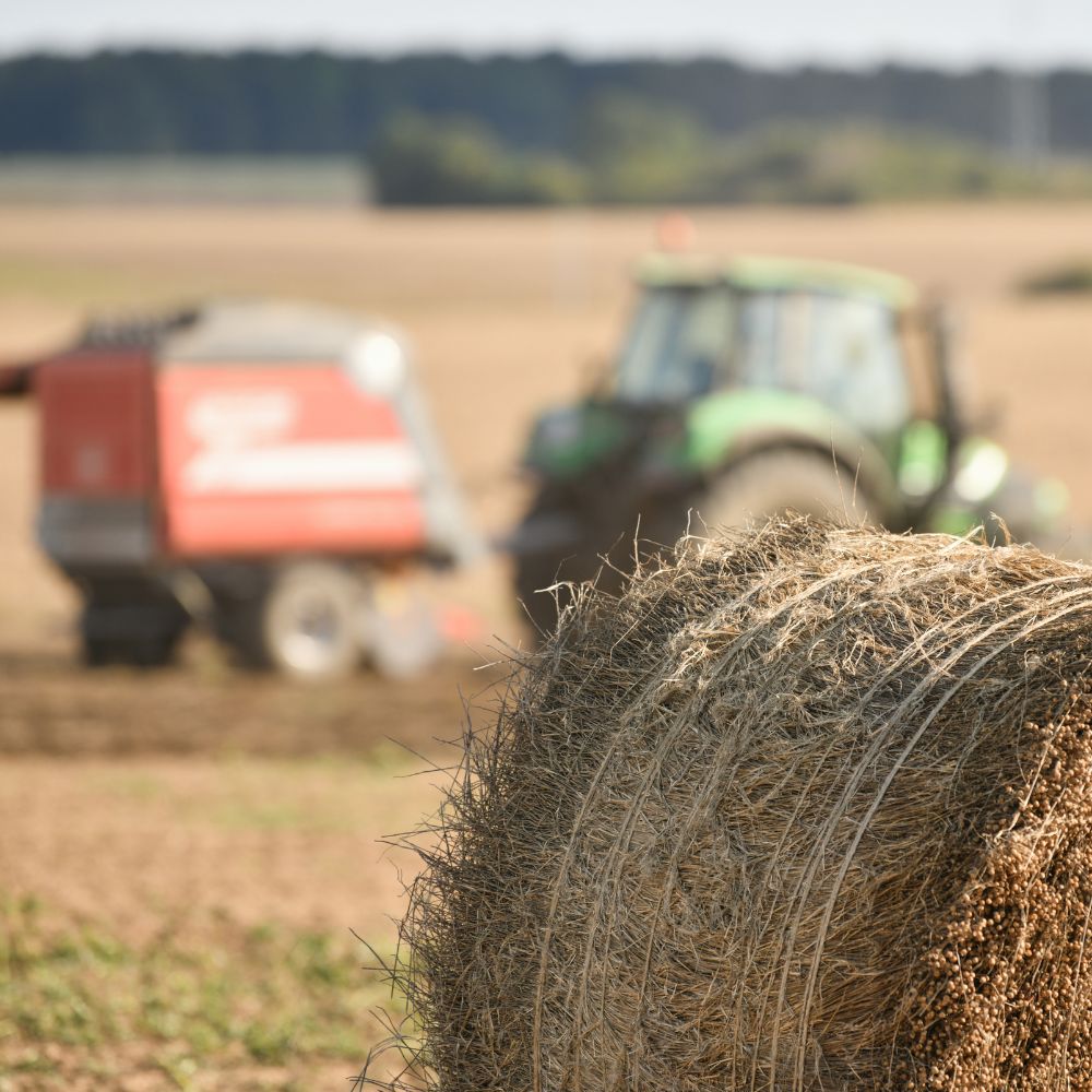 Orbi-Twine Ultra Premium Bale Twine – Orbi Packaging